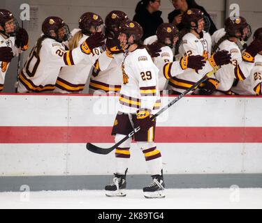 Columbus, Ohio, USA. 21st Oct, 2022. Ohio State goaltender Amanda ...