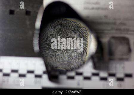 Lens, fingerprints and forensic ruler on fingerprint card Stock Photo ...