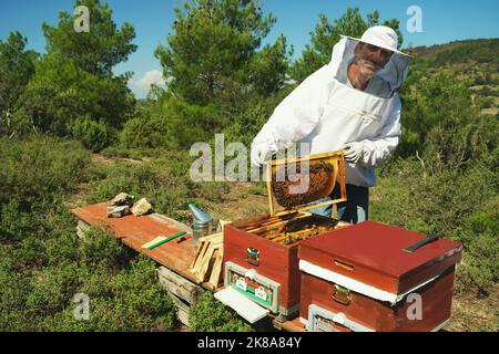 Portrait of a Turkish Beekeeper posing with a frame of honeycomb and ...