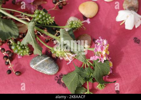 Gems and flowers for healing rituals Stock Photo - Alamy