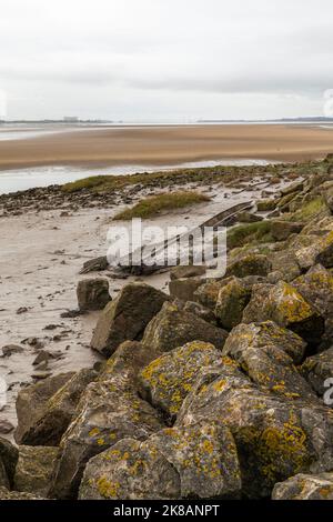 The remains of River Severn trows. Boats which hauled coal and iron now ...
