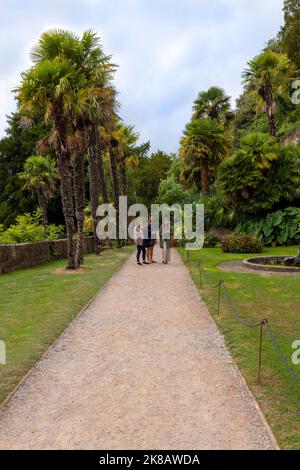The sub-tropical gardens at Dunster Castle with view of the Bristol ...