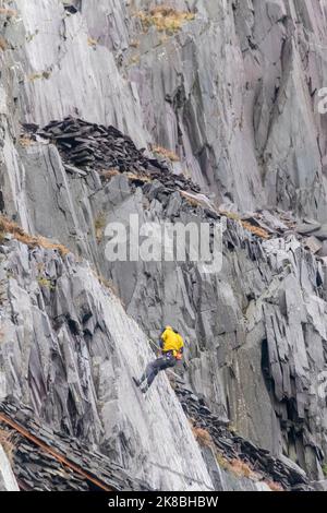 Climber at Dinorwic Slate Quarry, situated between the villages of ...