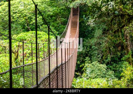 Panama Rainforest. Old hanging bridge in the jungle of Panama, Central ...