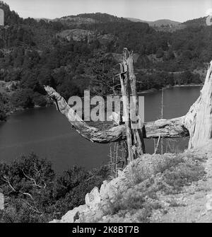 Lago Lolog, Lolog lake, near San Martín de los Andes, Neuquén province ...
