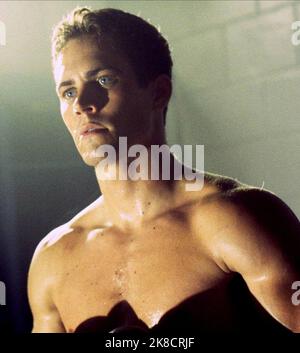 THE SKULLS -2000 PAUL WALKER Stock Photo - Alamy