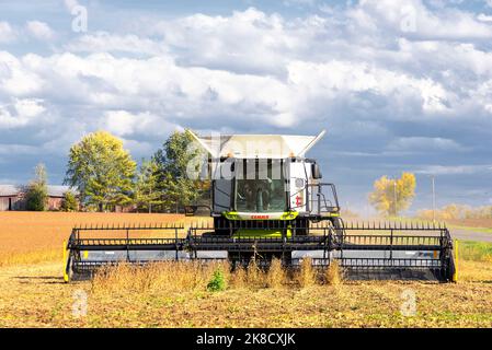 Harvesting Soy Beans. Claas Lexion Combine 7500. Ontario County ...