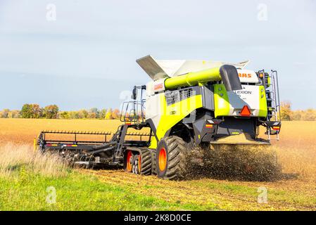 Harvesting Soy Beans. Claas Lexion 7500 Combine. Ontario County ...