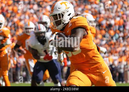 October 22, 2022: Princeton Fant #88 of the Tennessee Volunteers ...