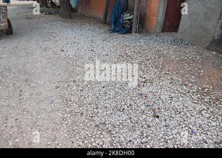 Some shells in the village on Fadiouth island, Senegal Stock Photo - Alamy