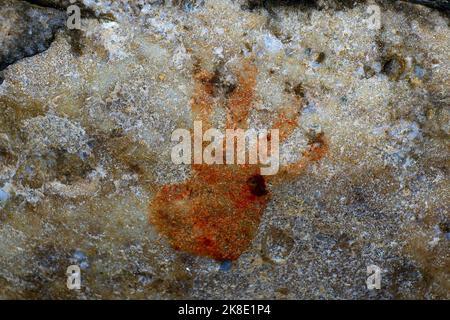 Ancient San Rock Art, Aboriginal South Africa, Seville Rock Art Trail ...