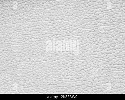 white skin as a background. textured leather surface Stock Photo - Alamy
