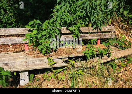 Rotten, collapsed bench by the wayside under a tree Stock Photo - Alamy