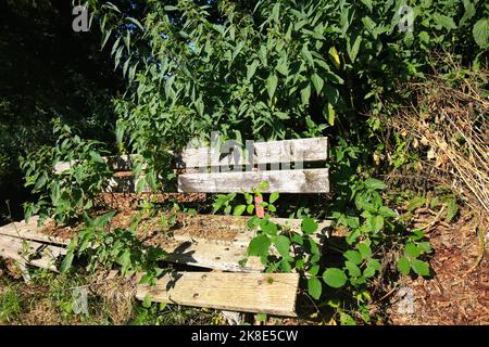 Rotten, collapsed bench by the wayside under a tree Stock Photo - Alamy