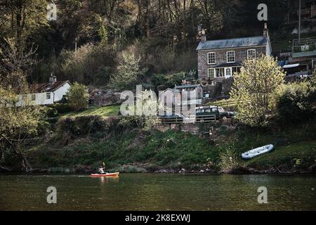 Kayaking along the River Wye in the Wye Valley Stock Photo - Alamy