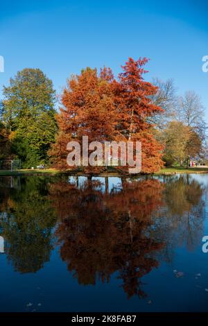 Öffentlicher Park Schloss Favorite bei Foerch, am See Stock Photo - Alamy