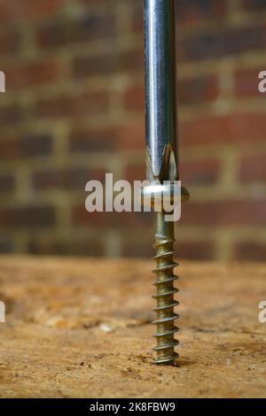 A close up of a woodscrew Stock Photo - Alamy