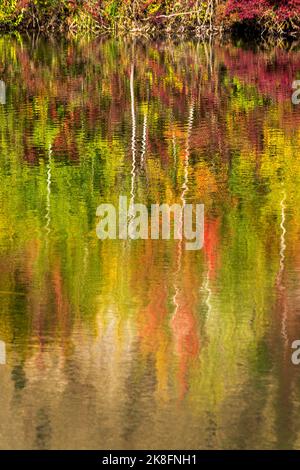 Autumn trees reflecting in Badesee Erlabrunn lake Stock Photo - Alamy