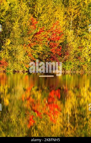 Autumn trees reflecting in Badesee Erlabrunn lake Stock Photo - Alamy