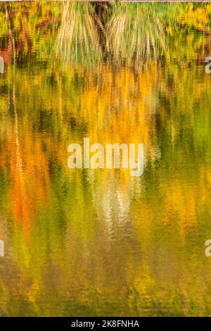 Autumn trees reflecting in Badesee Erlabrunn lake Stock Photo - Alamy