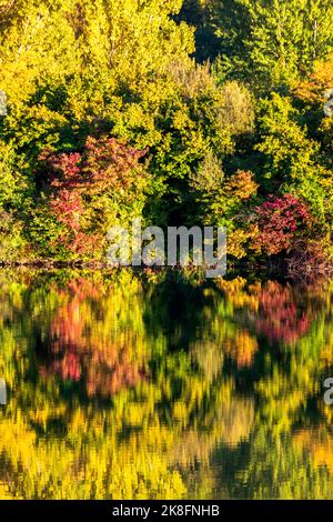Autumn trees reflecting in Badesee Erlabrunn lake Stock Photo - Alamy