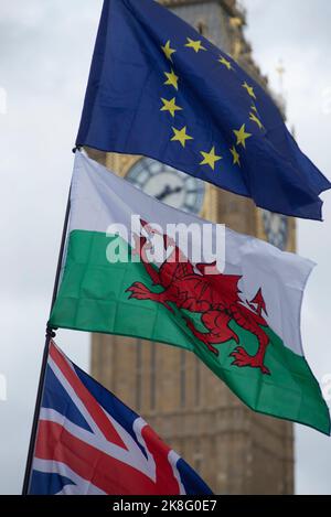 Rejoin the EU march, london, uk Stock Photo - Alamy