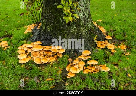 Simple Stunning Photography Stock Photo - Alamy