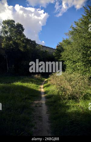 Trail in an open space between a fortification wall and the trees of a ...