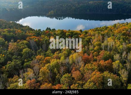 Treplin, Germany. 22nd Oct, 2022. Deciduous trees shine in colorful ...