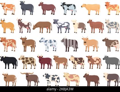 Breeding cows icons set cartoon vector. Dairy milk. Eat farm. Breeding ...