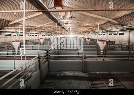 Picture of clean empty pig stall Stock Photo - Alamy