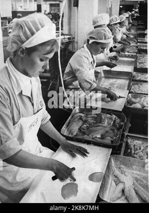 Hammerfest September 1967. The fish processing factory Findus is one of ...