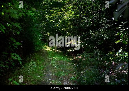 Oslo June 1988 Langgaardsløkken is an old loop garden at Briskeby in ...