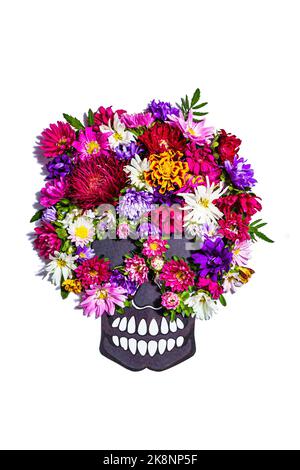 Human skull with flower on purple background Stock Photo - Alamy