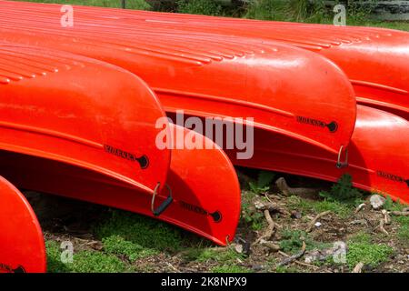 prow bow of red green canoe kayak neatly stacked inverted laid on grass ...