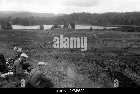 WW2 Oslo 19440924 Vegetable parcels at Bogstad. .. Food Photo: NTB ...