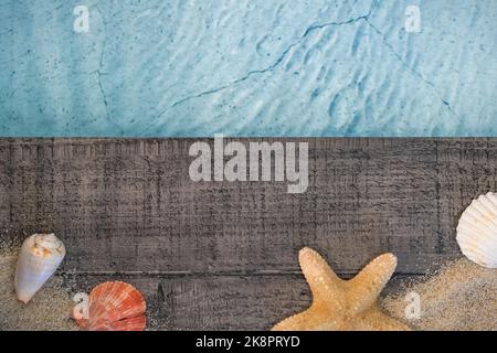Shells seen from above on a wooden pavement above a pool with a ...