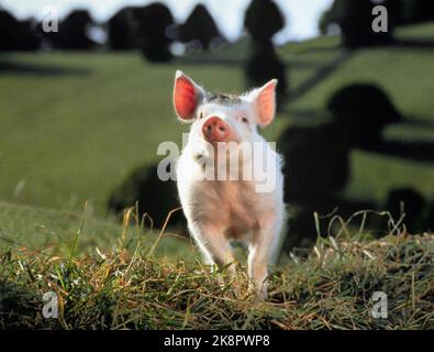 FILM POSTER, BABE, 1995 Stock Photo - Alamy