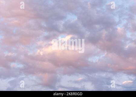 Pink, purple, and gold sunset twilight on the beach, with a rose tinted ...