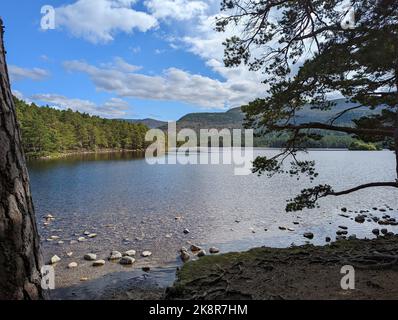 A scenic view from the lakeshore of lush green trees on the hill under ...