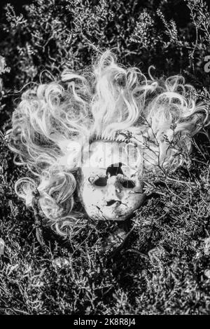 Doll's head decaying, horror, spooky, ghostly Stock Photo - Alamy