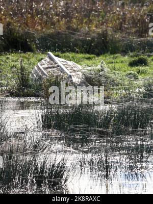 Portmore Lough, Aghalee, County Antrim, Northern Ireland, UK. 24 Oct ...