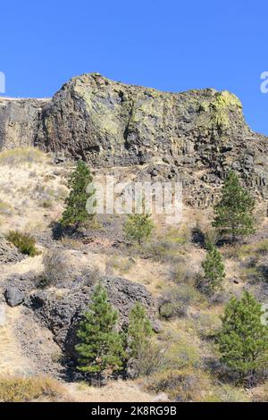 Steep basalt cliff in Central Washington in fall Stock Photo - Alamy