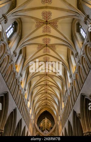 High vaulted ceiling of the nave of Wells Cathedral in Somerset UK ...