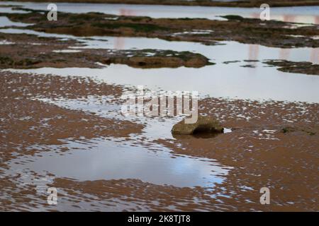 Puddles of water on sandy beach after a tide. Small pools of water in ...