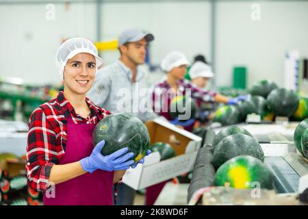 Portrait of positive woman fruit factory worker with watermelon Stock ...