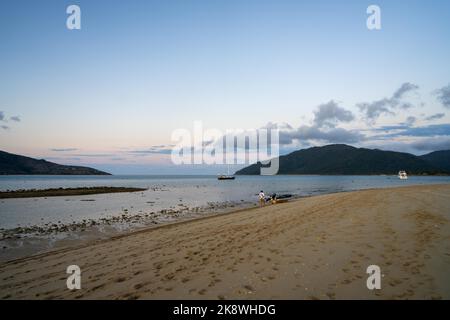 tourist boats and tour boats in the whitsundays queensland, australia ...