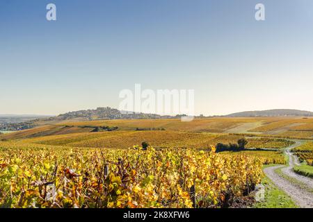 France, Cher, Sancerre, village labelled Les Plus Beaux Villages de ...