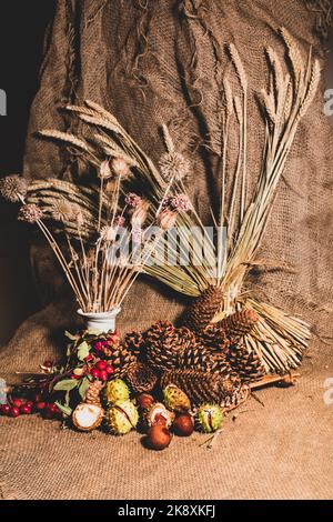 Autumn harvest festival still life scene Stock Photo - Alamy