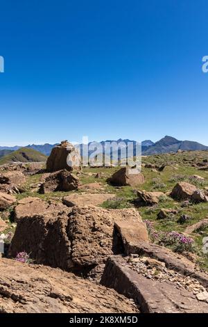 Mountain meadow against rock mount and forest in summer. Pyrenees ...